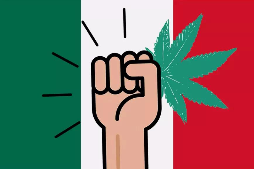 México Más Del 66 De La Población Está A Favor De La Regulación